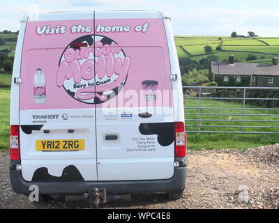 Our Cow Molly, a working dairy farm with farm shop and ice cream ...