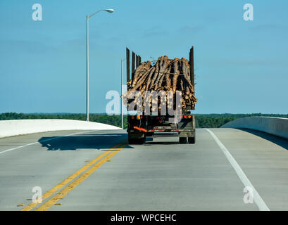 Rear view of logging truck on rural road with full load of timber Stock ...