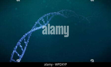 DNA molecule, double helix floating in water (3d science rendering ...