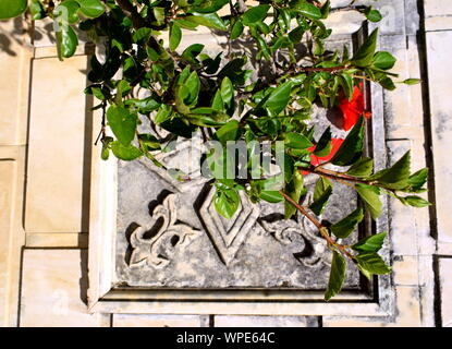 Monastery, flowers, garden, religion, Zakynthos, island, Greece ...