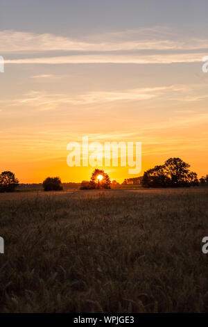 Golden Sun Setting Over Countryside Hills Framed by Trees in Rural ...
