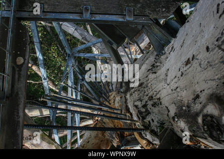 Gloucester Tree, 58m high, second tallest fire lookout, Pemberton ...