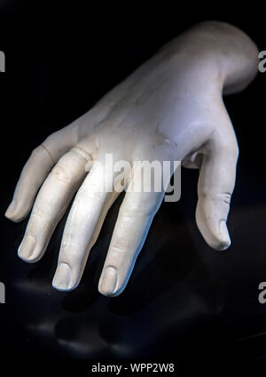 Clara Schumann 's hand - plaster cast. Note fourth finger. German ...