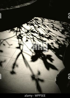 Human shadow on a tiled floor Stock Photo - Alamy