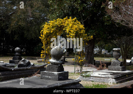 Magnolia Cemetery, Mobile, Alabama Stock Photo - Alamy