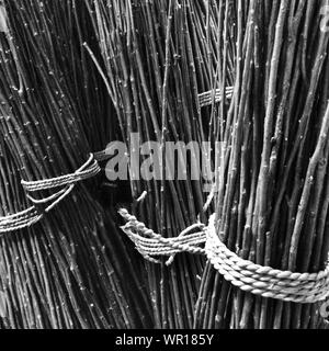 Bundles of sticks tied up with rope Stock Photo - Alamy