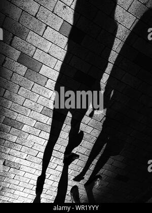 Human shadow on a tiled floor Stock Photo - Alamy