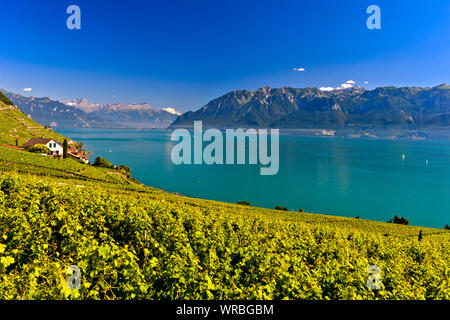 SWITZERLAND, (Vaud), Swiss Riviera, EPESSES: Town View / Winter ...