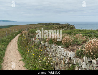 View of Godrevy lighthouse from the North Cornwall coastal path ...