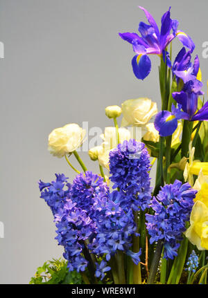 funeral design card with purple flower Stock Photo - Alamy