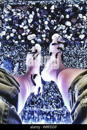 Fish eating dead skin off feet, Siem Reap, Cambodia (MR Stock Photo - Alamy