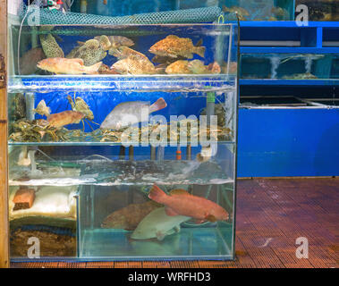 Live Fish in Aquarium at Fishmonger Stall Stock Photo - Alamy