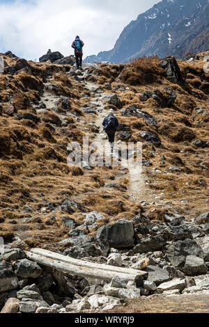 A bridge on the Gochela trekking trail to the Kanchenjunga mountain in ...