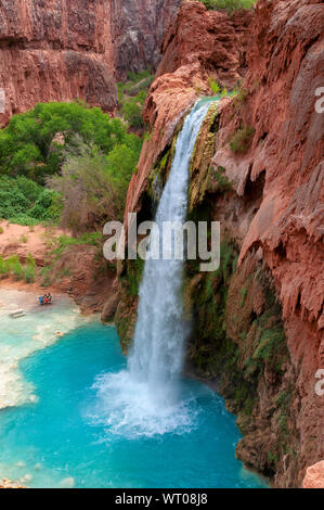 Havasupai Canyon with the waterfall a tree and pool, Arizona, USA Stock ...