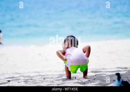 Rear view of toddler crouching looking at cows Stock Photo: 210751918 ...