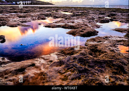 Eerie landscape on Spanish Harbor Key Stock Photo - Alamy