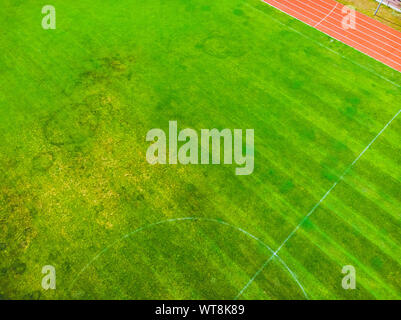 Striped professional soccer stadium turf photographed , high resolution ...