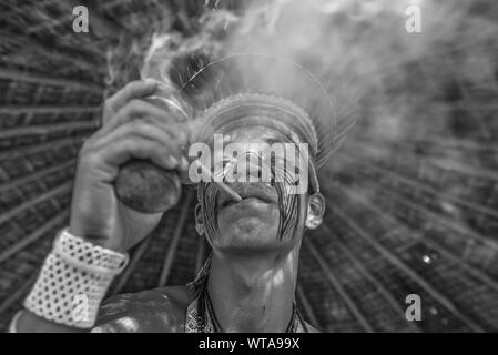 Indigenous Brazilian smokes traditional pipe at the village Stock Photo ...