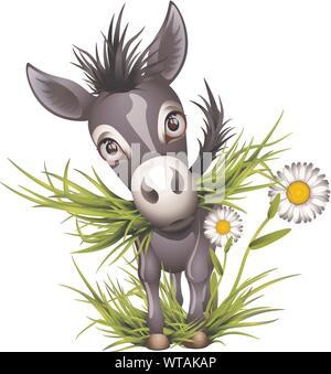 Little donkey clipart, animal cartoon illustration vector Stock Vector ...