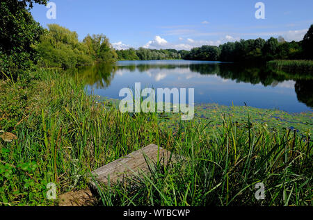 Lake UEA Norwich Stock Photo - Alamy