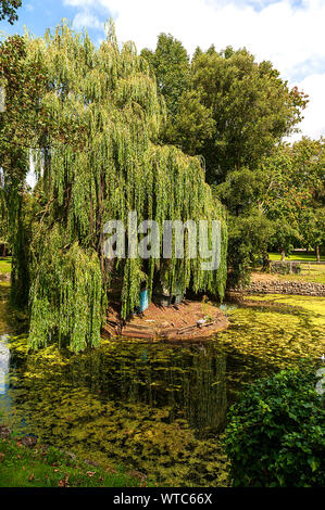 The Friars - Aylesford Priory, Maidstone. Kent Stock Photo - Alamy