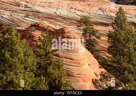 Slickrock formations- beehive formations, Zion National Park, Utah, USA ...