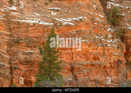 Slickrock formations- beehive formations, Zion National Park, Utah, USA ...