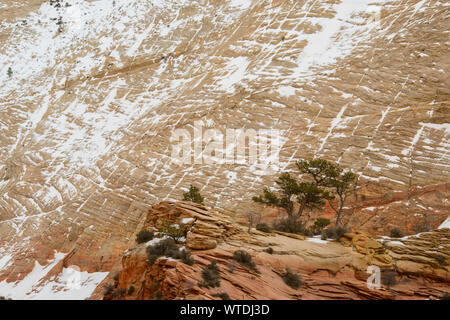 Slickrock formations- beehive formations, Zion National Park, Utah, USA ...