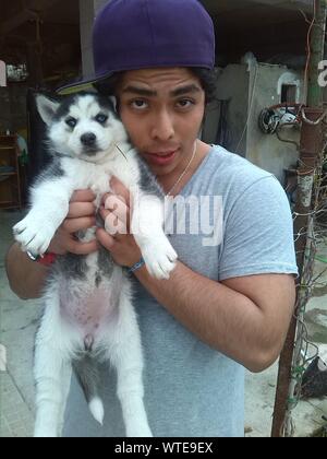 young man looking at siberian husky dog Stock Photo - Alamy