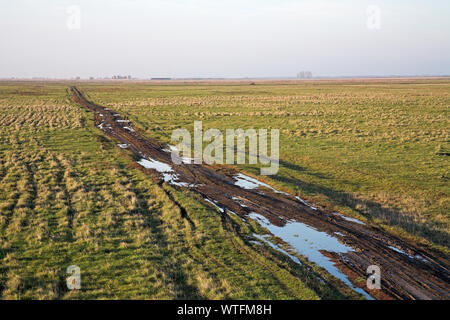 Grassy puszta plains of the Hortobagy National Park north of Hortobagyi ...