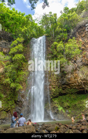 A vertical shot of a waterfall in the Pacific Northwest of the US Stock ...