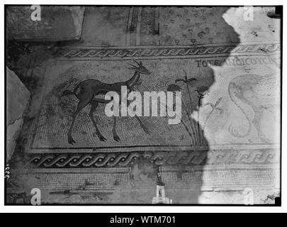 Mount Nebo. Jebel Nebba. Nebo, Chapel of St. Mary. Mosaic floor of apse ...
