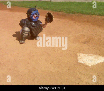Baseball catcher crouching on baseball field, giving hand signals Stock ...