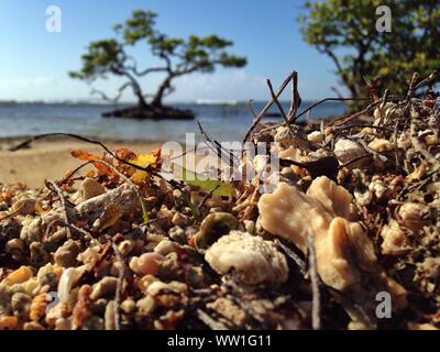 Selective focus ground level view of snow blown sidewalk section with ...