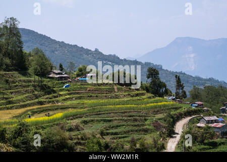 Valley of Ghar Khola river in vicinities of Ghara village, Annapurna ...