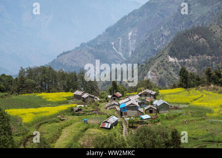 Valley of Ghar Khola river in vicinities of Ghara village, Annapurna ...