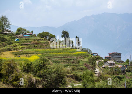 Valley of Ghar Khola river in vicinities of Ghara village, Annapurna ...