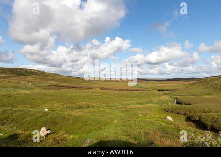 Landscape near Sandness, Mainland, Shetland islands, Scotland, UK Stock ...
