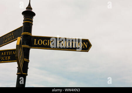 Text sign showing Logic Emotion. Conceptual photo Unpleasant Feelings ...
