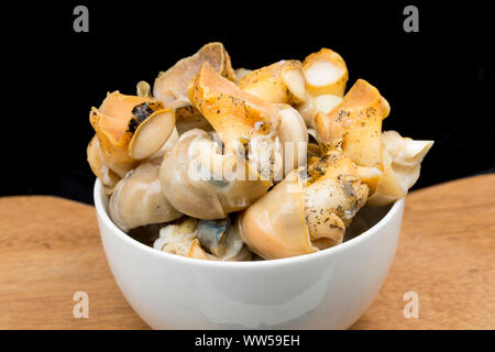 Boiled, cooked whelks, Buccinum undatum, that are still in their shells ...