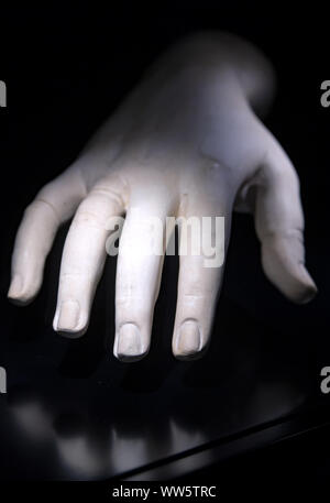 Clara Schumann 's hand - plaster cast. Note fourth finger. German ...