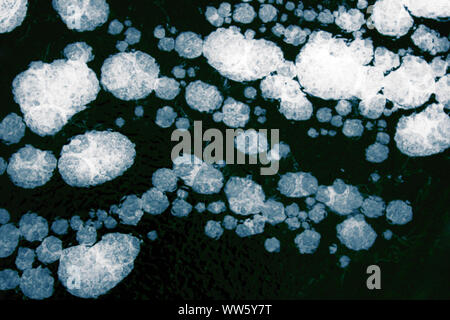 structure, pattern and crystals of newly formed ice called the nylas ...