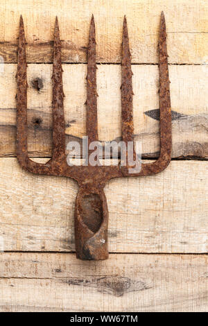 Old rusty shear shears on a grunge orange background Stock Photo - Alamy