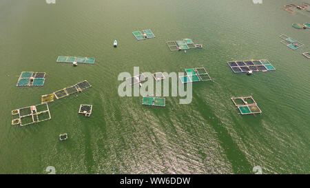 Fish farm with cages for fish and shrimp on the lake Taal, top view ...