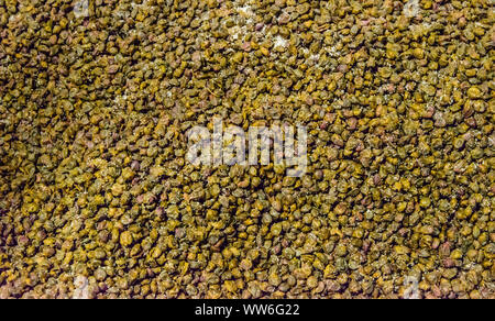 Italy Sicily Aeolian Archipelago Salina Island Santa Marina Stock Photo ...