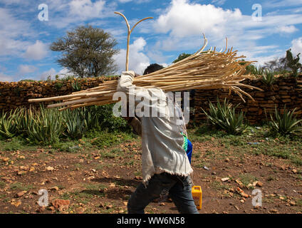 Oromo man carrying forked sticks called oulle for the pilgrims, Oromia ...