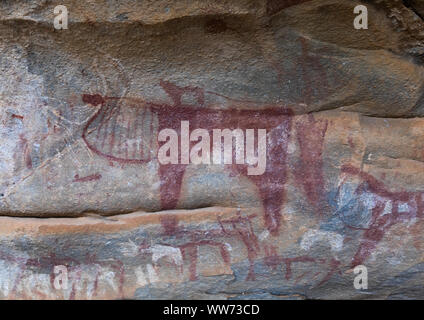 Cave paintings and petroglyphs depicting cows copulating, Woqooyi ...