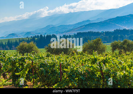 Overlooking the magical Bekaa Valley Stock Photo - Alamy