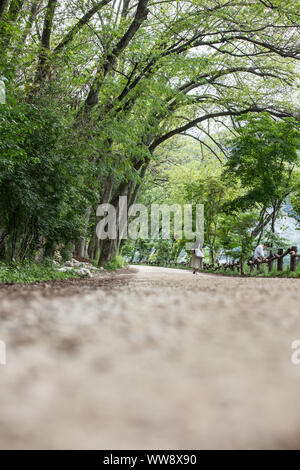 Natural landscape scenics around Nami Island in Seoul South Korea Asia ...