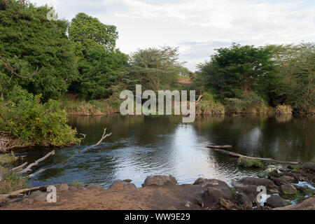 Mzima Springs, Tsavo National Park, Kenya Stock Photo - Alamy